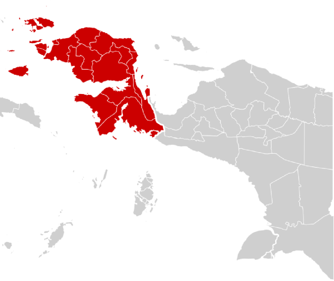 Approaching Asmat Tribe in Asmat Regency, Papua Province - West Papua Voice