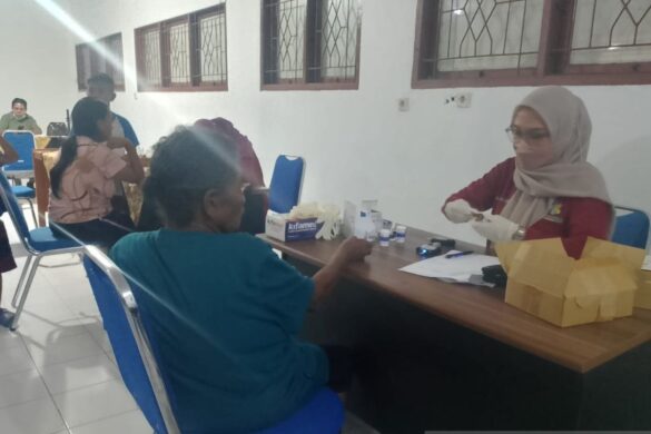 Koteka Traditional Clothing for Papuan Men in the Mountains - West ...