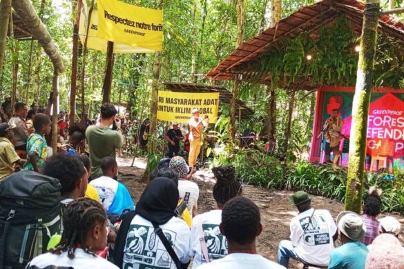 The Bauzi Tribe in Papua Has a Forest Telephone Method, No Secrets ...